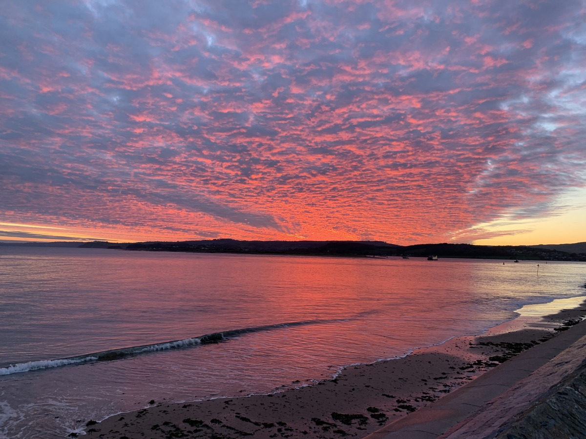 Our Garden - Grove Exmouth